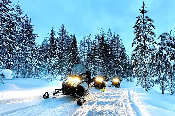 Full Day Activity with Snowmobiles in Rovaniemi - Final Thoughts