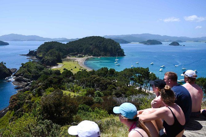 Full-Day Adventure Cruise with Lunch in Bay of Islands - Key Points