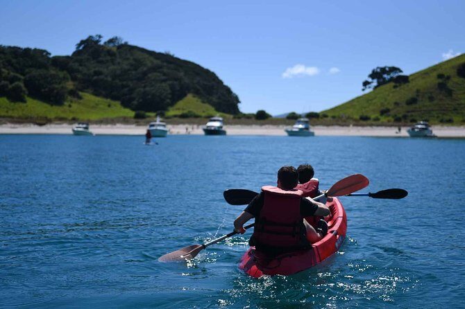 Full-Day Adventure Cruise with Lunch in Bay of Islands - Final Thoughts: Who Should Book This Tour?