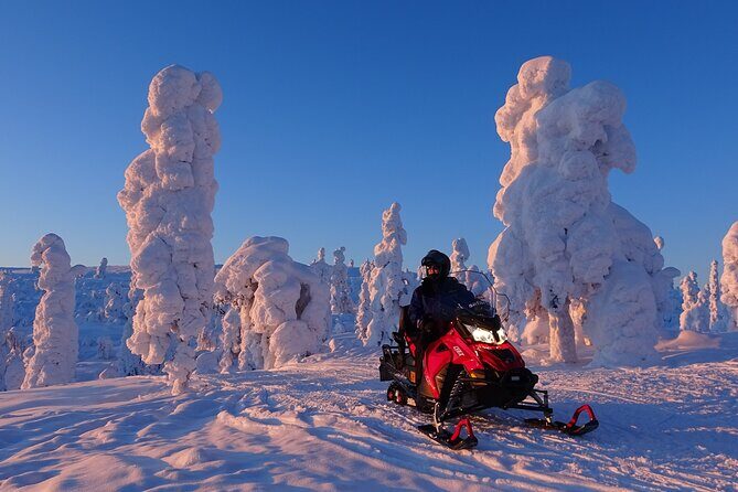 Full Day Adventure with Snowmobiles in Saariselkä - Key Points