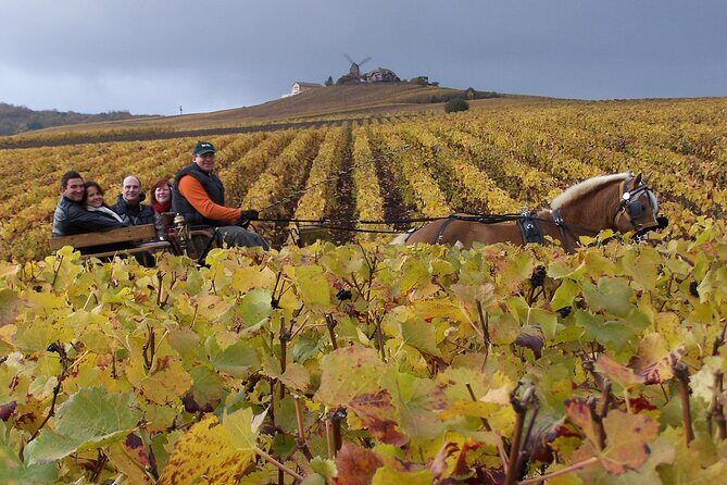 Full Day All-inclusive Tour in Champagne from Paris in a Minivan - Key Points