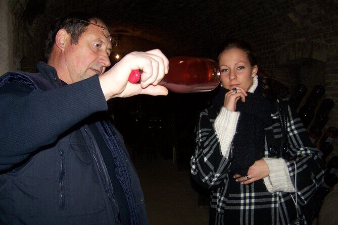 Full Day All-inclusive Tour in Champagne from Paris in a Minivan - Who Should Book This Tour?