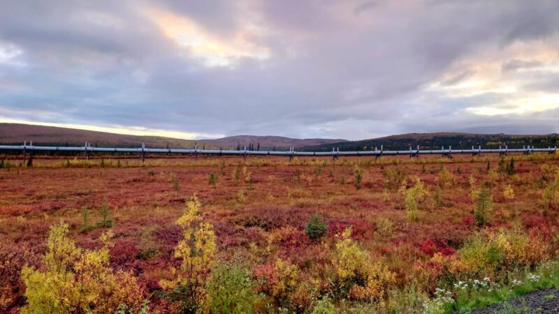 Full Day Arctic Circle Adventure From Fairbanks - Key Points