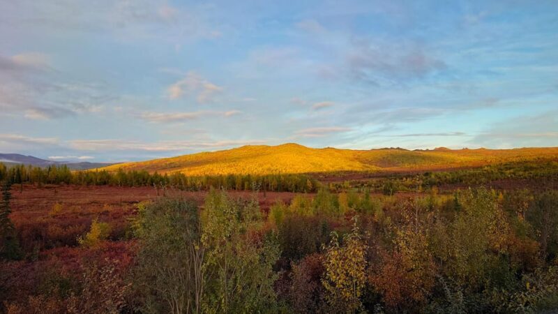 Full Day Arctic Circle Adventure From Fairbanks - FAQ