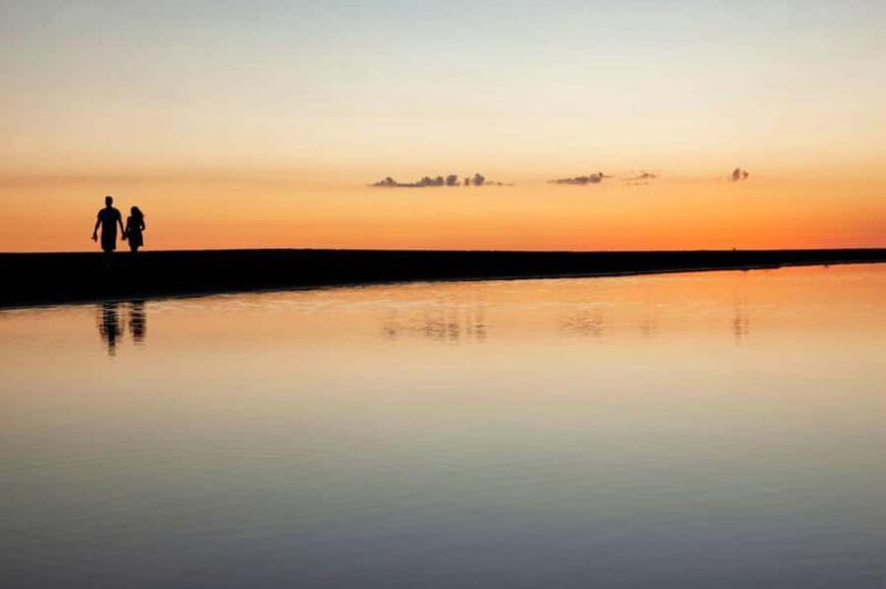 Full-day Auckland City & Rainforest Private Tour by Car - In-Depth Look at Each Stop