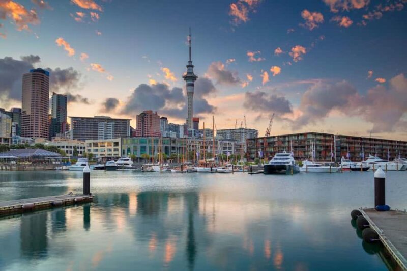 Full-day Auckland City & Rainforest Private Tour by Car - Practical Details and Value