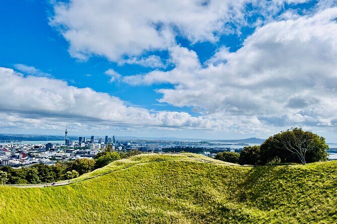 Full-Day Auckland Discovery - Key Points