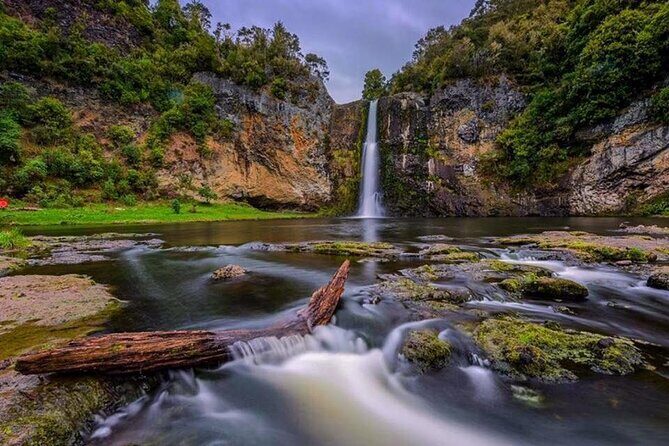 Full day Auckland Tour from Coast to City with Exclusive Pick up - An In-Depth Look at the Auckland Full-Day Tour