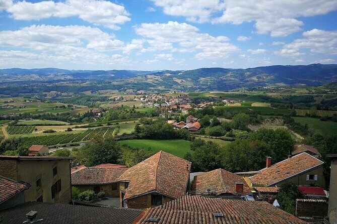 Full-Day Beaujolais Wine Tour - Picnic Lunch Included - Key Points