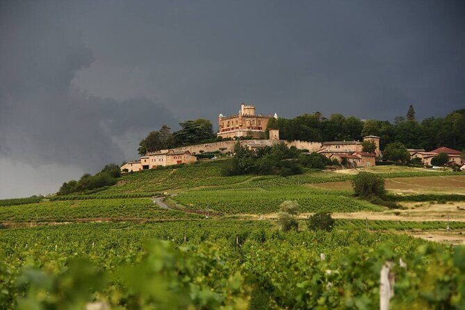 Full-Day Beaujolais Wine Tour - Picnic Lunch Included - What to Expect from This Beaujolais Wine Tour