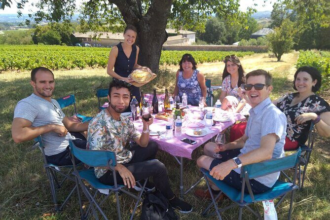 Full-Day Beaujolais Wine Tour - Picnic Lunch Included - Who Should Consider This Tour?