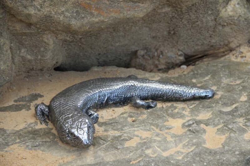 Full Day Blue Mountains with an Italian Touch Bilingual tour - Wentworth Falls: Nature’s Marvel