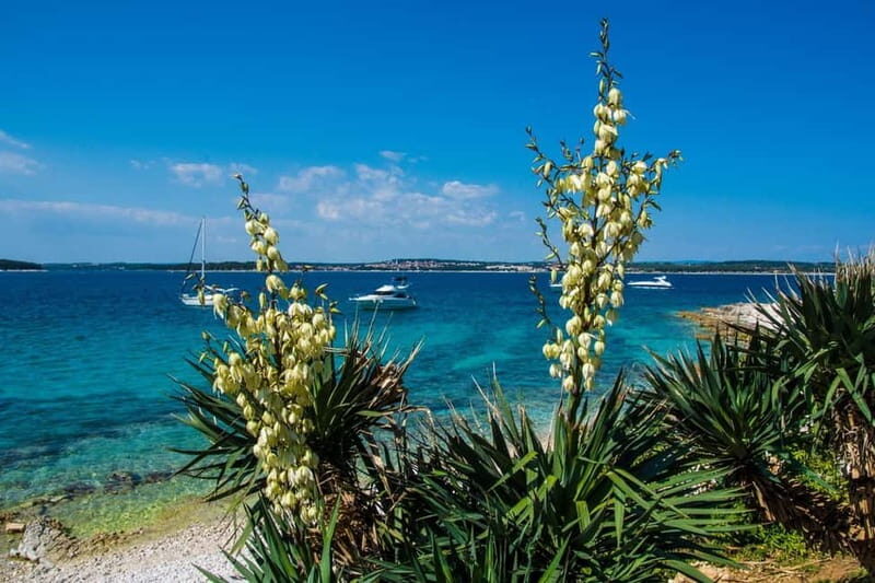 Full-Day Boat Trip, Cave Swim, lunch & Drinks - Medulin/Ceja - An In-Depth Look at the Full-Day Boat Trip Experience