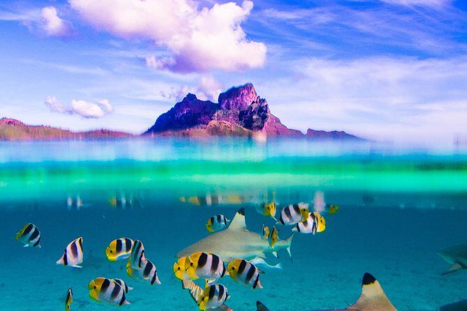 Full-Day Bora Bora Lagoon Cruise Including Snorkeling with Sharks and Stingrays - Experience the Magic of Bora Bora’s Lagoon with a Full-Day Cruise