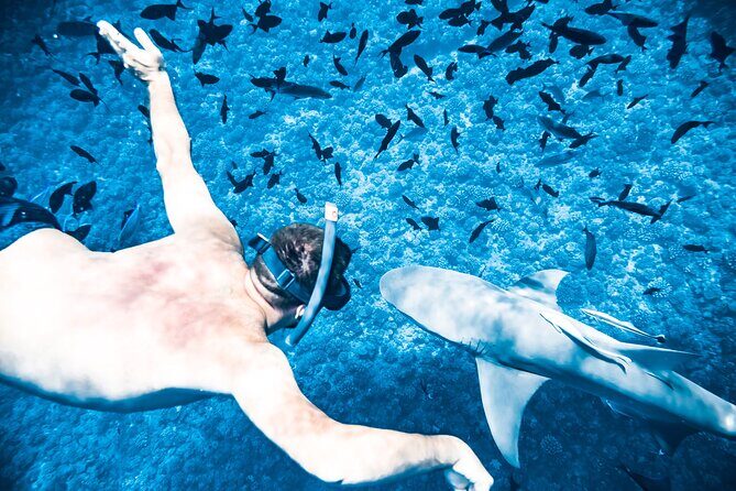 Full-Day Bora Bora Lagoon Cruise Including Snorkeling with Sharks and Stingrays - FAQs