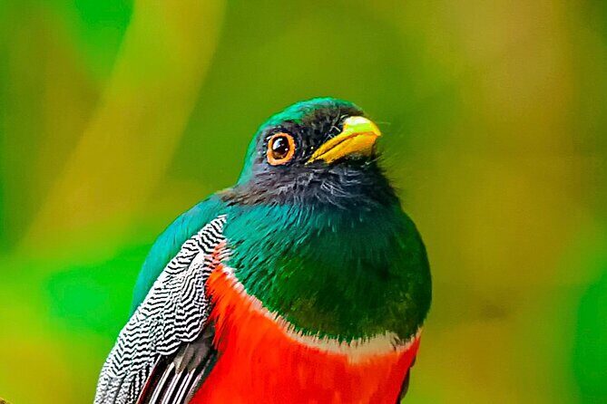 Full Day Bromeliad Forest Tour from Oaxaca - A Detailed Look at the Bromeliad Forest Tour