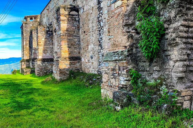 Full Day Bromeliad Forest Tour from Oaxaca - The Sum Up
