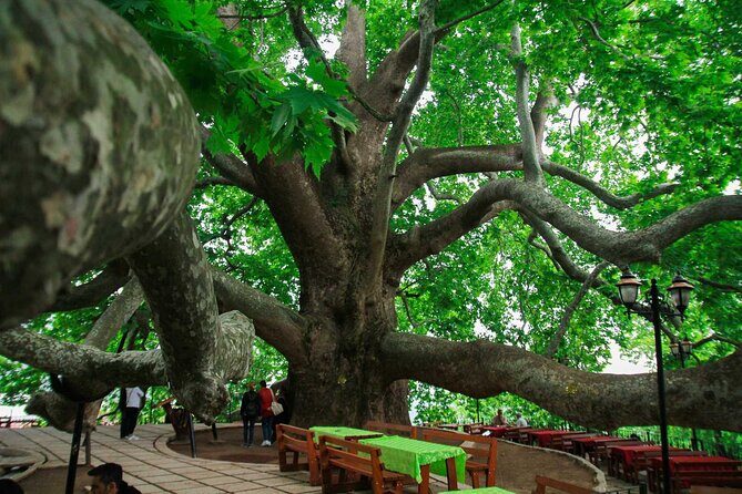 Full Day Bursa Tour from Istanbul(cable car, Lunch & transfer) - Practical Details: What Travelers Should Know