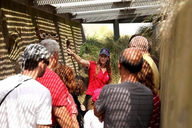 Full-Day Canadian Battlefields & sites Normandy Tour from Bayeux - Exploring the Tour: A Step-by-Step Breakdown  