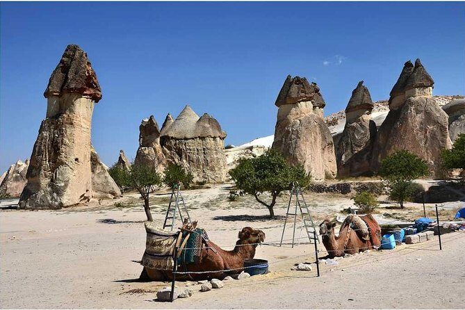 Full-Day Cappadocia Tour with Goreme Open Air Museum and Fairy Chimneys - The Experience: What to Expect on This Cappadocia Tour