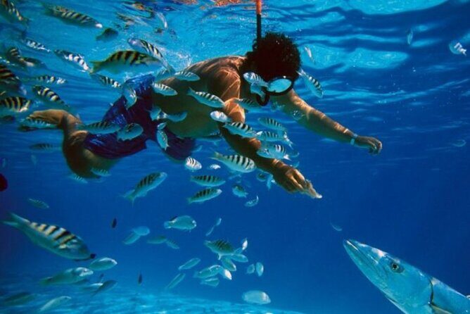 Full-Day Catamaran Cozumel Tour with Sky Snorkeling - An In-Depth Look at the Full-Day Catamaran Cozumel Tour with Sky Snorkeling