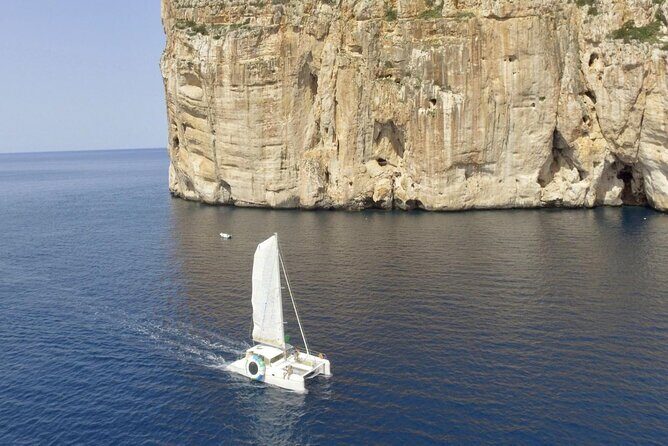 Full day Catamaran cruise in Porto Conte Natural Park - Who is This Tour Best For?