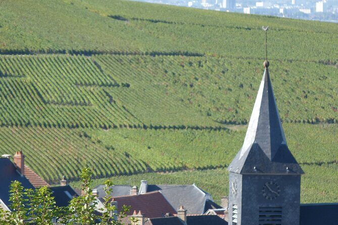 Full Day Champagne Pommery Small Group Tour - FAQ