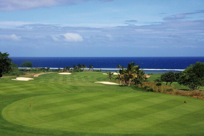 Full-Day Coral Coast Private Guided Tour - Exploring the Coral Coast: A Detailed Look at the Full-Day Private Guided Tour