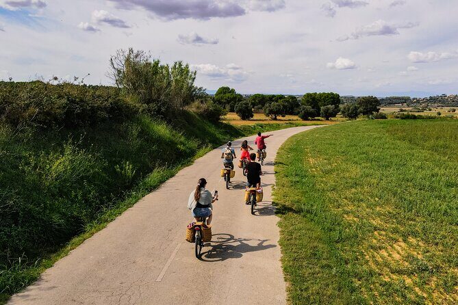 Full-Day Costa Brava and E-Bikes Guided Tour from Barcelona - Key Points