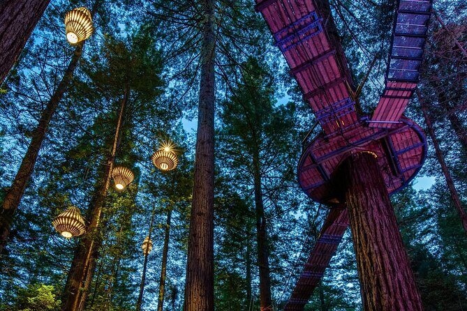 Full Day Customisable Tour with Driver & Luxury Car Unlimited Kms - The Value of This Tour