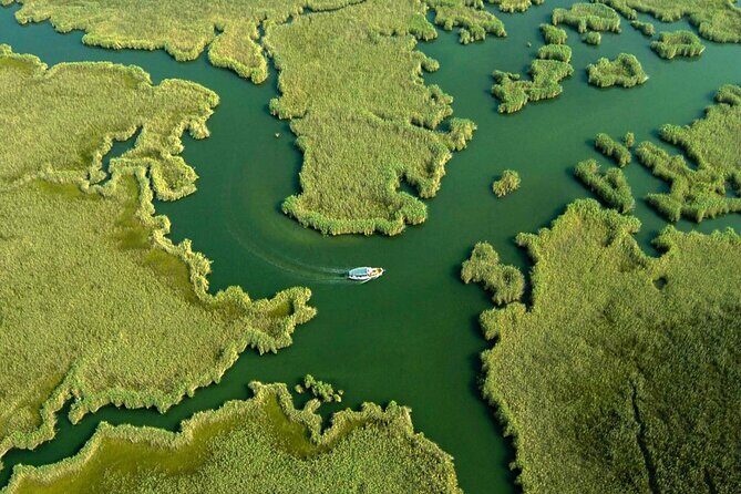 Full Day Dalyan (Turtle Beach) From Bodrum - Introduction