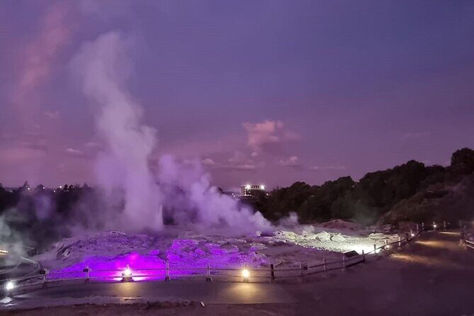 Full-Day Driver with Tesla Car-Customisable North Island Tour - Transportation and Practicalities