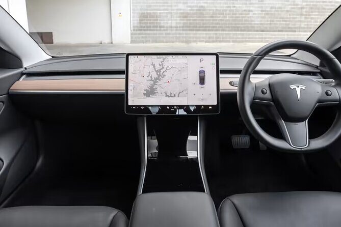 Full-Day Driver with Tesla Car-Customisable North Island Tour - The Sum Up