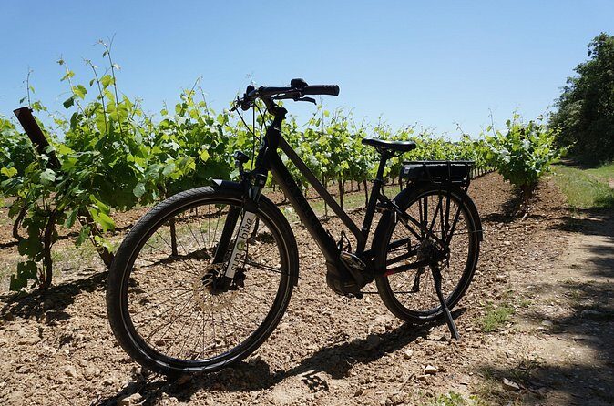 Full day E-Bike rental around the Mont-Ventoux - Who Would Love This?