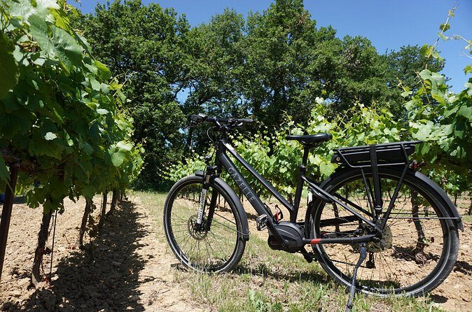 Full day E-Bike rental around the Mont-Ventoux - The Sum Up