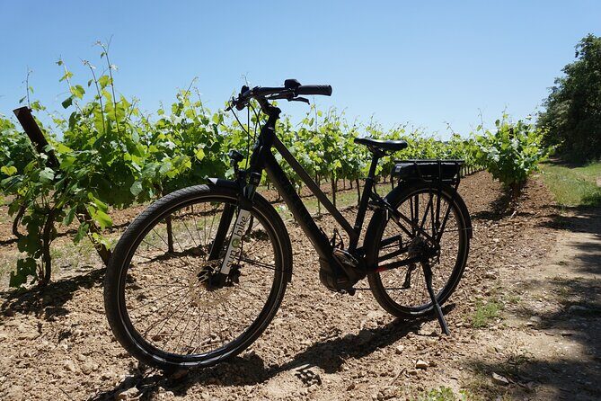 Full day E-Bike rental around the Mont-Ventoux - Frequently Asked Questions