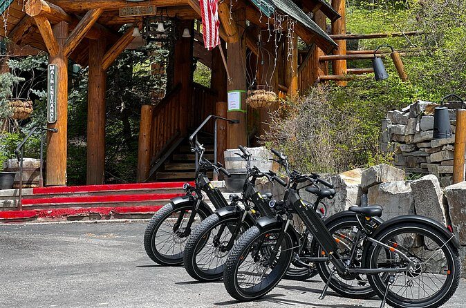 Full-Day E-Bike Rental in Flathead Valley - Who Will Love This Experience?