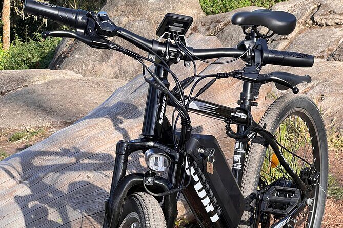 Full Day E-Bike Rental in San Francisco Charger Included! - Who Should Consider This Experience?