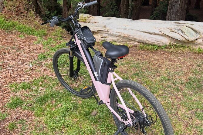 Full Day E-Bike Rental in San Francisco Charger Included! - Final Verdict