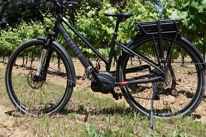 Full day E-Bike rental in the Alpilles - The Value of the Experience