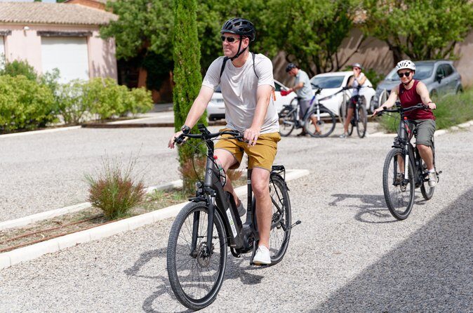 Full Day Ebike Tour in the Luberon Region from Avignon - A Detailed Look at the Luberon E-bike Tour