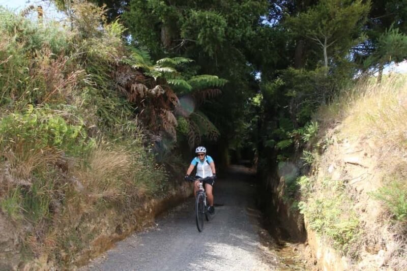 Full Day Ebike Tour - Karangahake Gorge NZ - Key Points