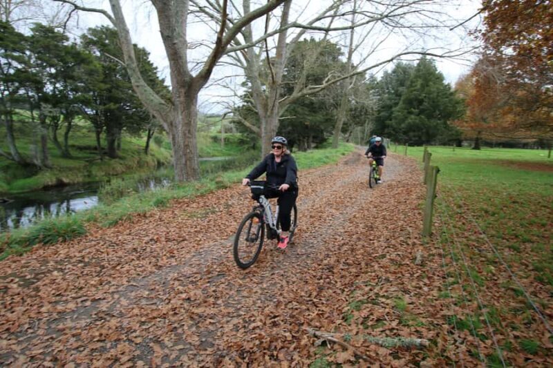 Full Day Ebike Tour - Karangahake Gorge NZ - FAQ