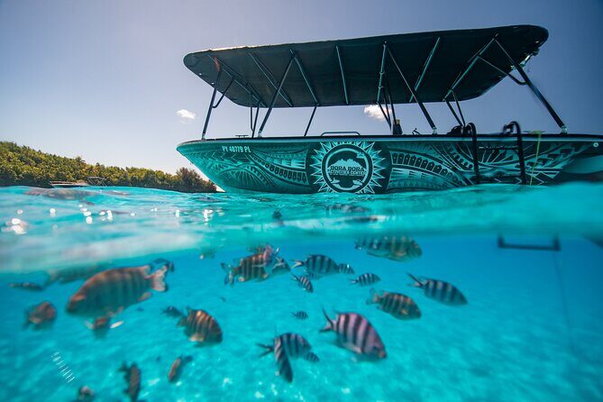 Full Day Eco Snorkeling & Traditional BBQ Lunch on a Motu - The Sum Up: Who Should Book This?