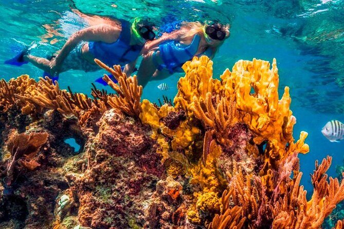 Full-Day El Cielo Snorkel Tour in Cozumel with Transportation and Lunch - Frequently Asked Questions