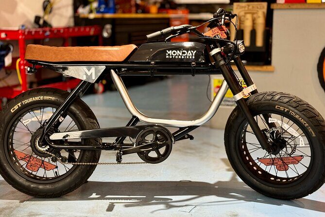 Full Day Electric Bike Rental in Galveston Texas - A Deep Dive into the Electric Bike Experience in Galveston