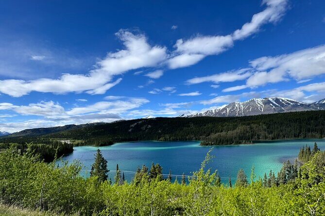 Full Day Emerald Lake Tour with or without Huskies - The Guide: Knowledge and Personal Touch