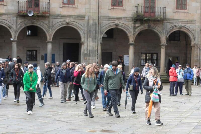 Full-Day Excursion from Vigo to Santiago - Cruisers Only - Who Should Consider This Tour?