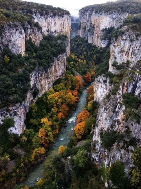 FULL DAY Excursion: Irati Forest and Ochagavía - A Deep Dive into the Experience