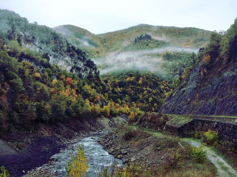 FULL DAY Excursion: Irati Forest and Ochagavía - Final Thoughts: Who Will Love This Tour?